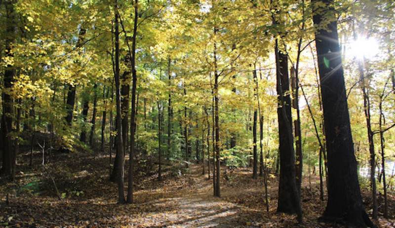 waverly park louisville ky