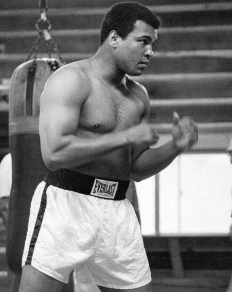 Muhammad Ali Center : GoToLouisville.com Official Travel Source