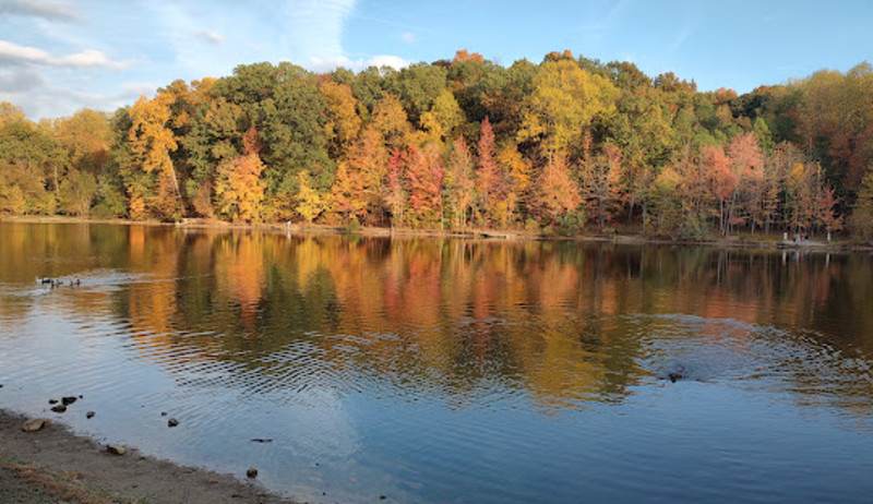 waverly park louisville ky