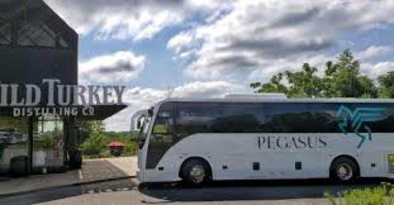 pegasus minibus