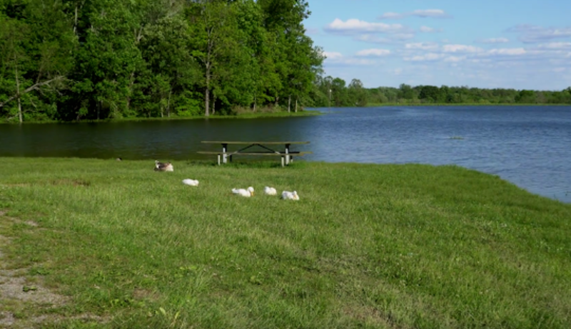 Long Run Park | GoToLouisville.com Official Travel Source