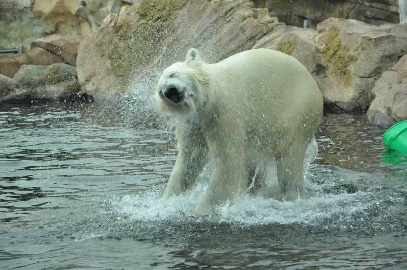Louisville Zoo : GoToLouisville.com Official Travel Source