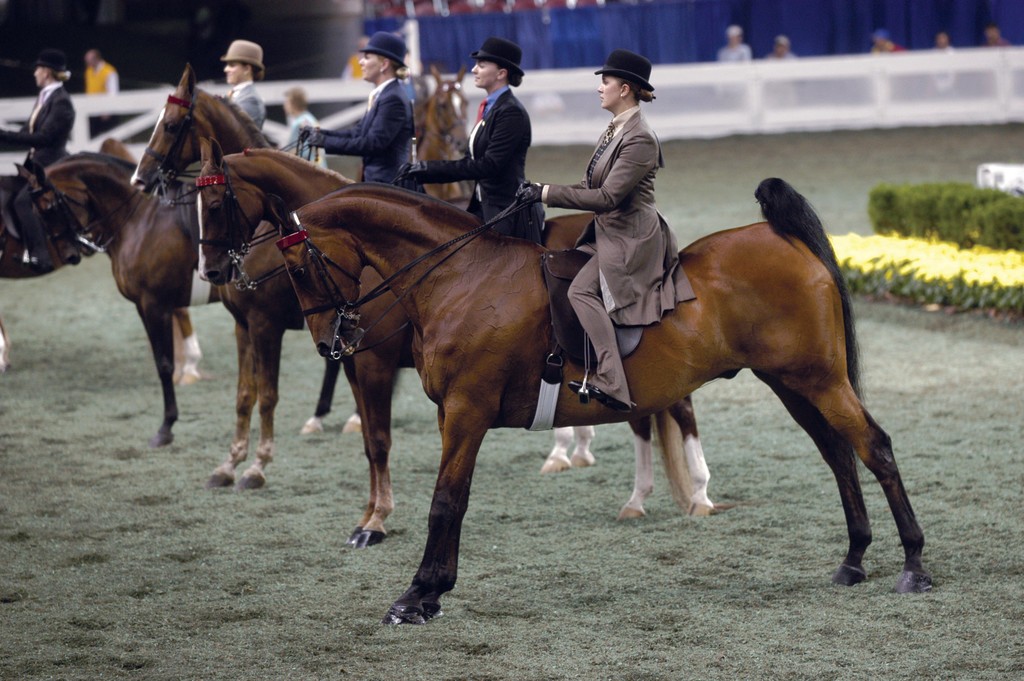 World's Championship Horse Show | GoToLouisville.com Official Travel Source