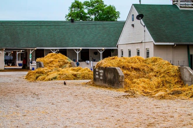 Barn & Backside Tour | GoToLouisville.com Official Travel Source