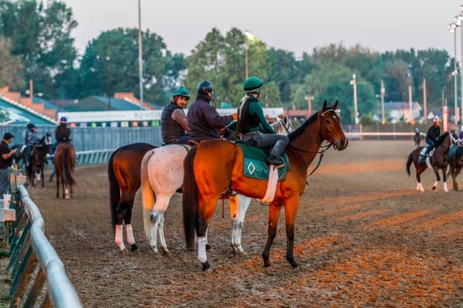 Barn & Backside Tour | GoToLouisville.com Official Travel Source