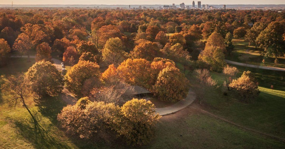 Louisville Rakes in the Fall Accolades | GoToLouisville.com Official ...